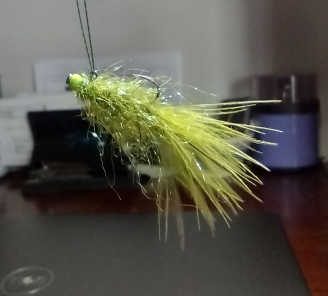 More lake flies – Landing In The PNW